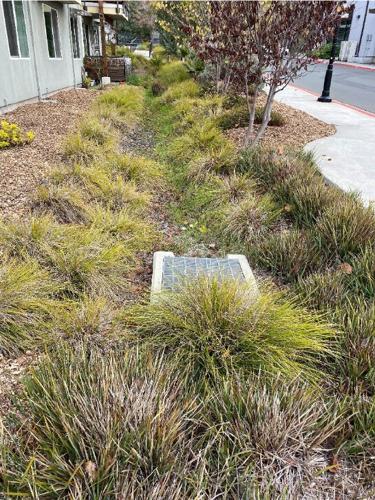 Do you know how to spot Low Impact Development? | Home & Garden ...