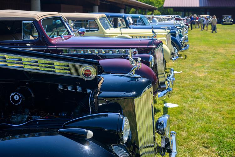Packard National Convention in Rohnert Park | Community ...