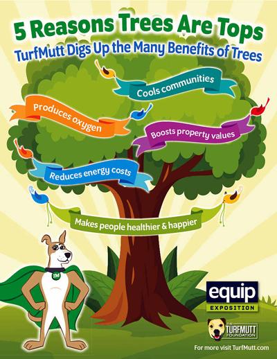 Thank a tree this Arbor Day | Community | thecommunityvoice.com