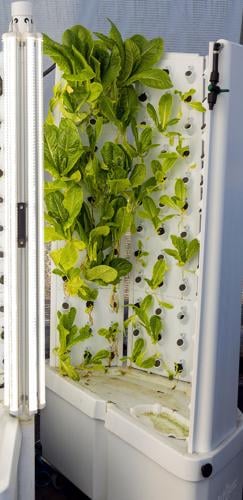 The S.A.G.E. at Veronda-Falletti Ranch: A demonstration of Sustainable ...