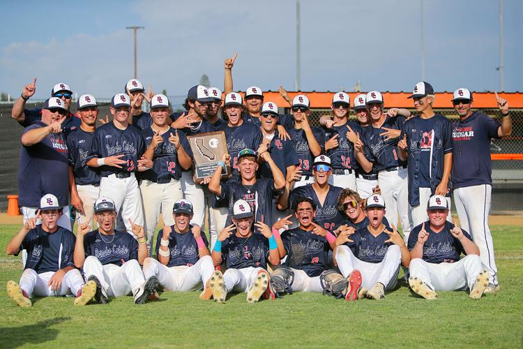 Cougars cap season for the ages with NorCal title | News ...