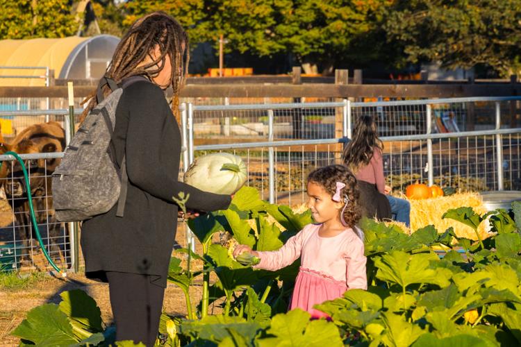 Fall Festival at the Veronda-Falletti Ranch | Community ...