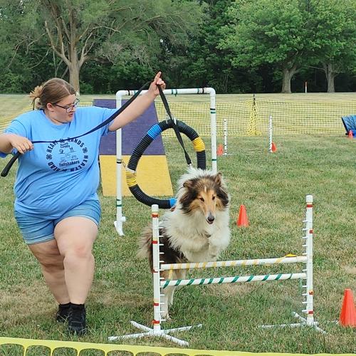 An "Autumn" win during summer agility show | News | thecouriertimes.com
