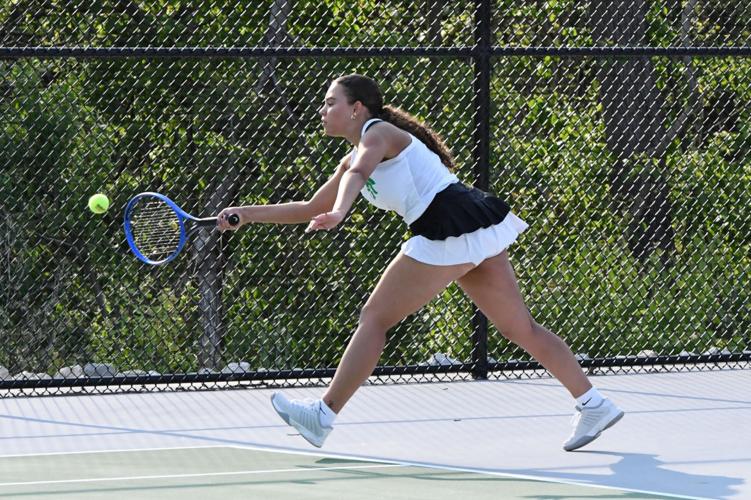 Vikings win tennis sectional | Sports | thecouriertimes.com