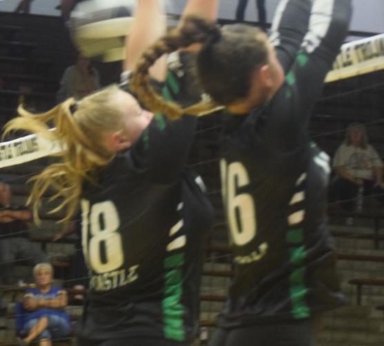 Trojans rally to defeat Cougars in volleyball | Sports ...
