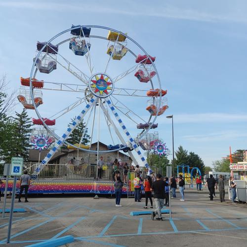 FUN AT THE FAIR | News | thecouriertimes.com