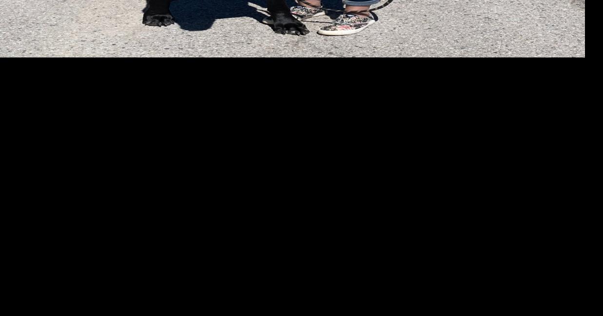 A BARKIN’ GOOD TIME AT THE PARK | News | thecouriertimes.com