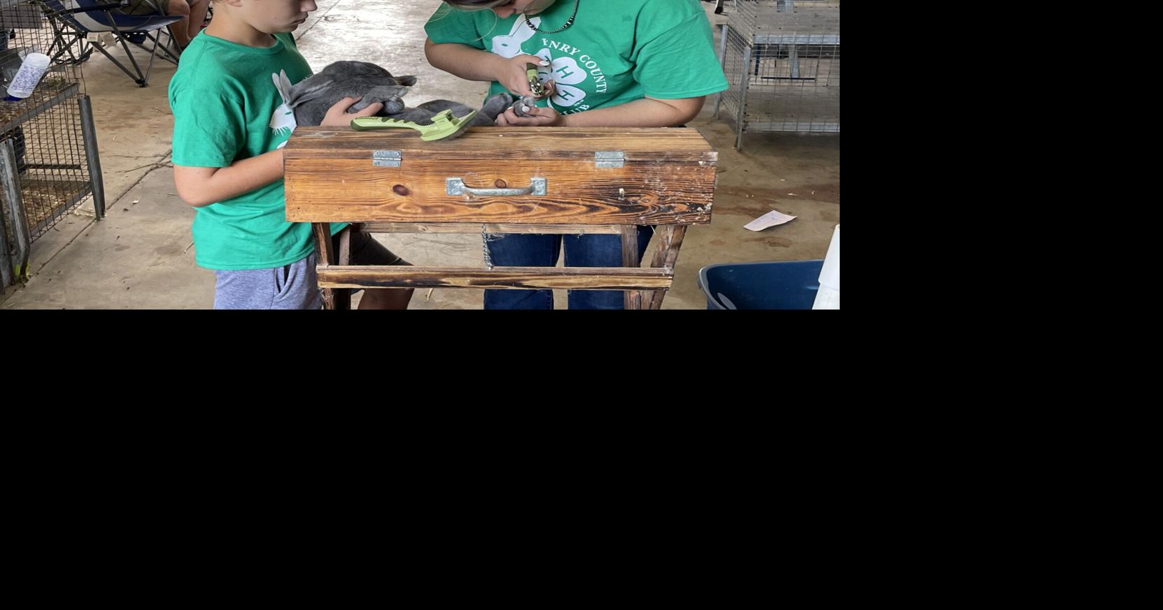 Show me the bunny! | News | thecouriertimes.com