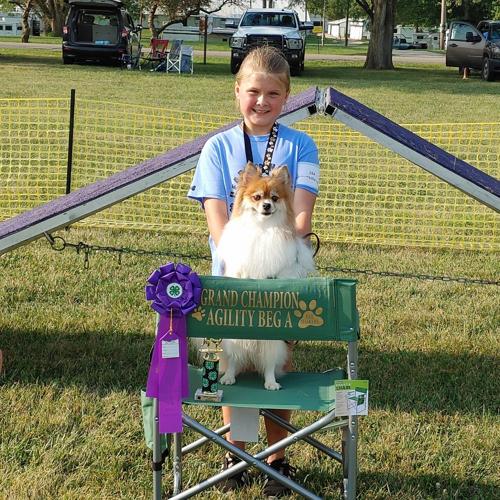 An "Autumn" win during summer agility show | News | thecouriertimes.com