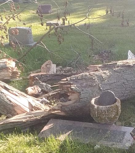 Vandals continue to desecrate historic cemetery | News ...