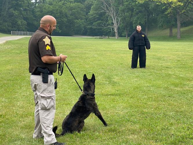 K9 Demo at Sheriff’s Camp | News | thecouriertimes.com