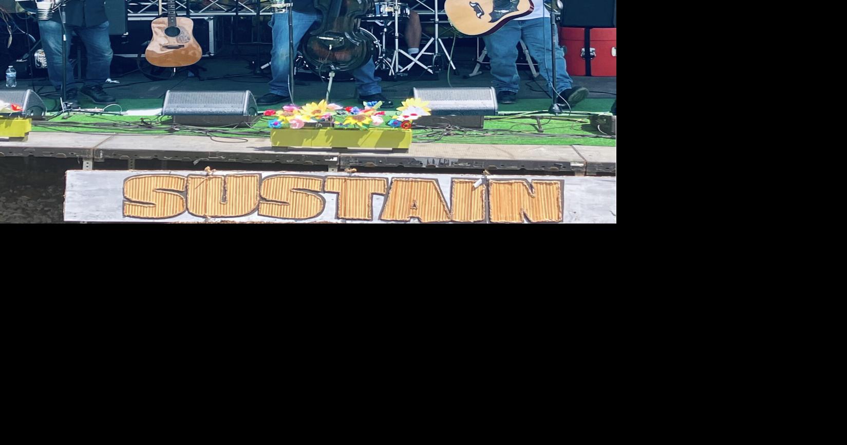 Second annual Sustain Art & Music Festival unites Indiana bands and ...