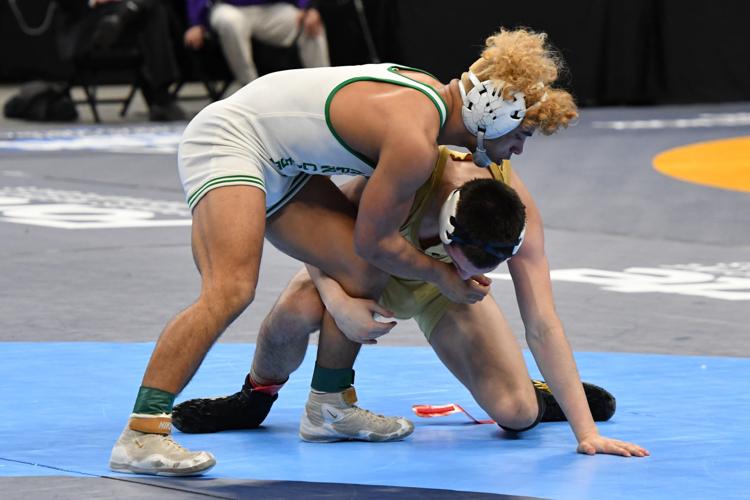 Trojan Wrestling State Finals Action | Sports | thecouriertimes.com