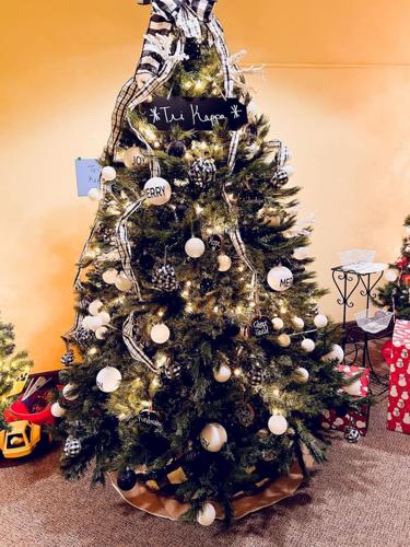 Alpha Zeta Chapter of Tri Kappa has been busy this fall | News ...