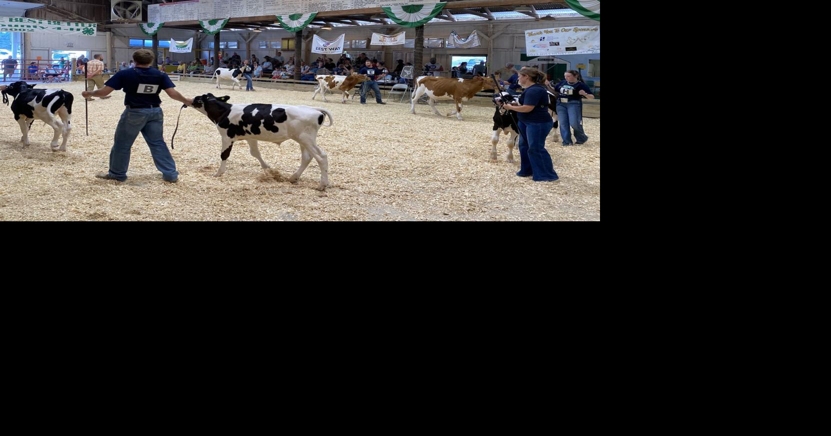 A-round like 'Rockin' Robin' | News | thecouriertimes.com