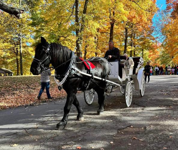 Thousands attend 3rd annual Fall Fest | News | thecouriertimes.com