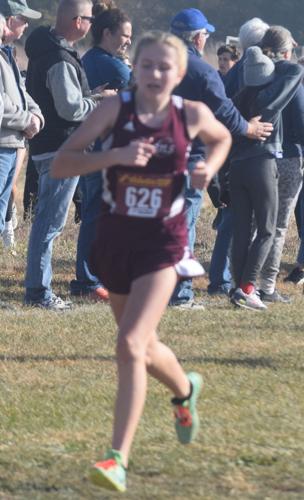 Road ends in Shelbyville for three local cross country teams | Sports ...