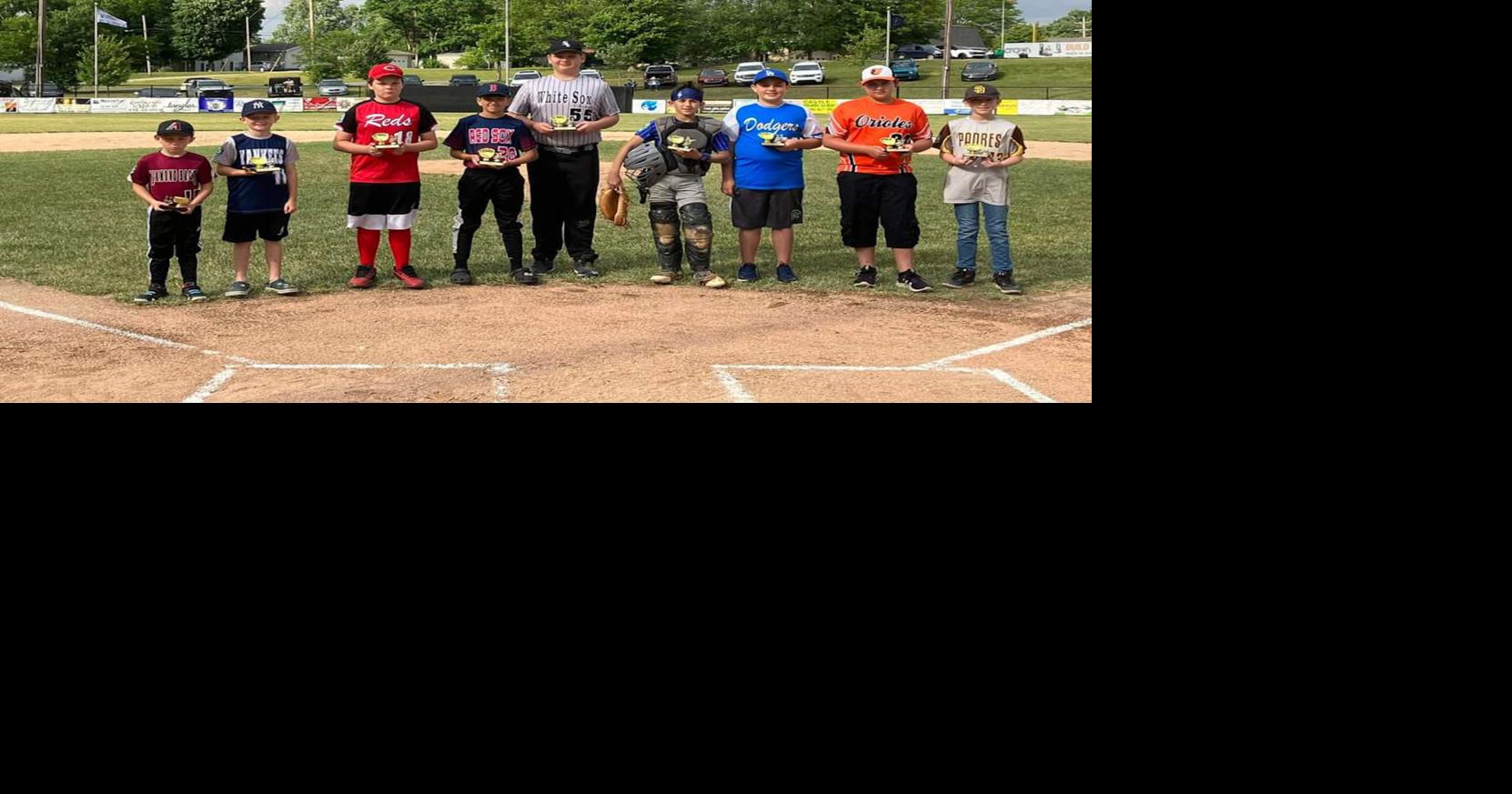 LITTLE LEAGUE GREAT TEAMMATES | Sports | thecouriertimes.com