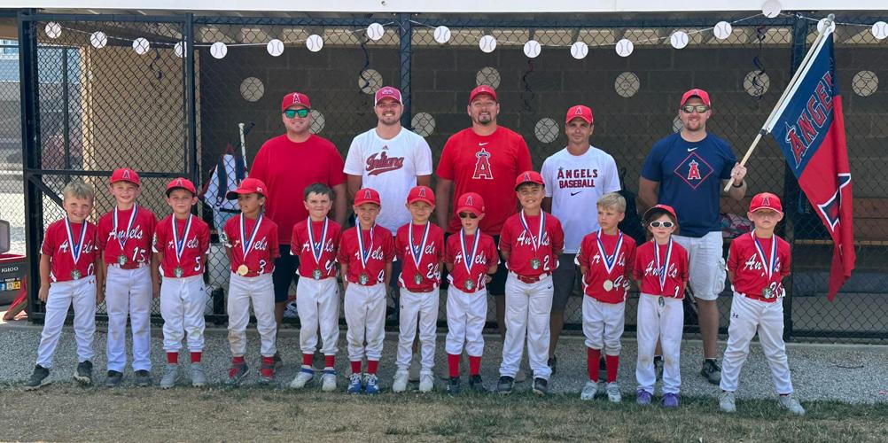 2023 Little League Champions | Sports | thecouriertimes.com