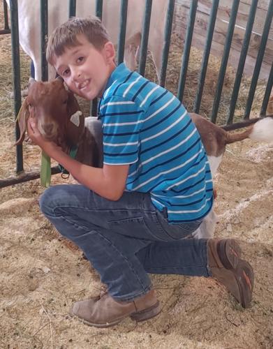 Here we 'goat' again | News | thecouriertimes.com