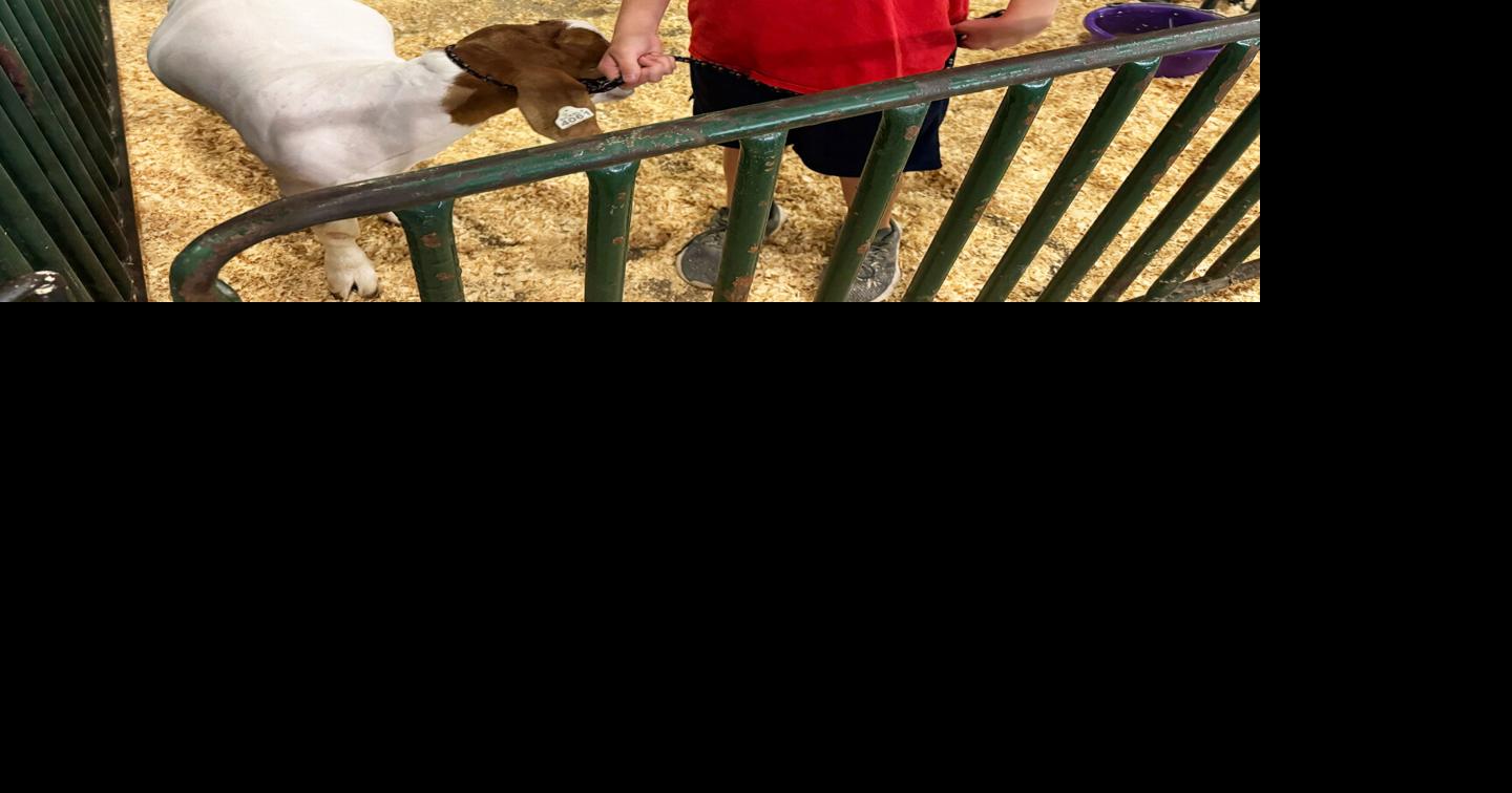 BAAAA: Goats take over the Henry County fair | News | thecouriertimes.com