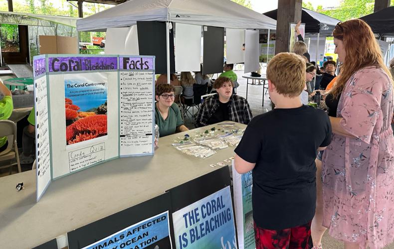 Cool Climate Fest showcases sustainability | News | thecouriertimes.com