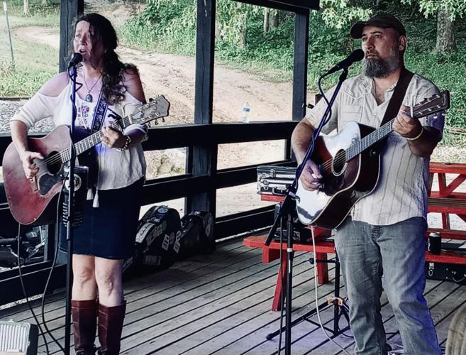 Second annual Sustain Art & Music Festival unites Indiana bands and ...