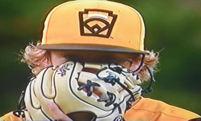 Hagerstown falls to Nolensville in seven innings | Sports ...