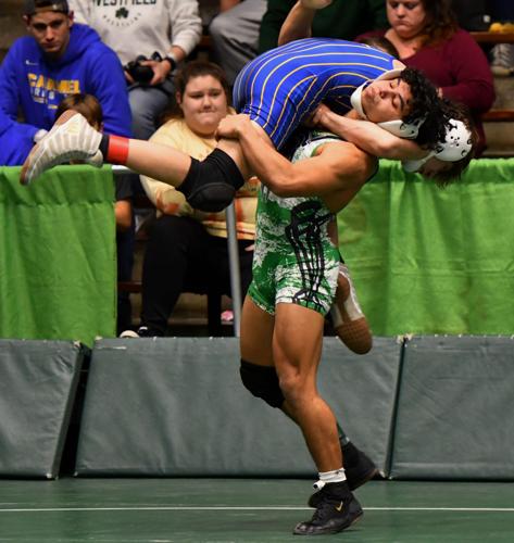 Trojans' Thrine advances to wrestling state finals | Sports ...