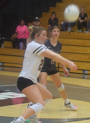 Titans defeat Panthers in volleyball | Sports | thecouriertimes.com
