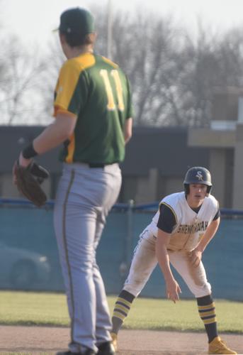 Tigers' Anderson named C-T Area Baseball Player of the Year | Sports ...