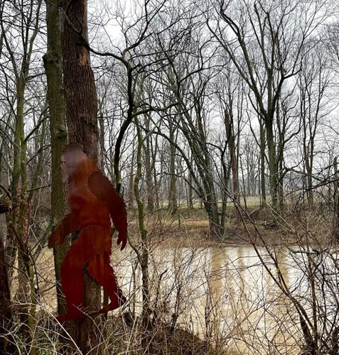 Rare, legendary creature spotted along the Mississinewa River | News ... Rare, legendary creature spotted along the Mississinewa River | News ...