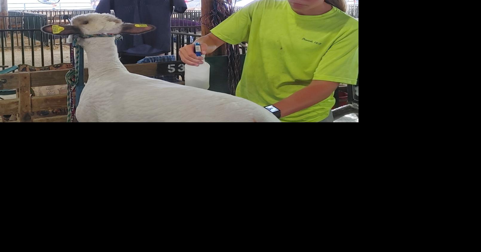 Love what 'ewe' do | News | thecouriertimes.com