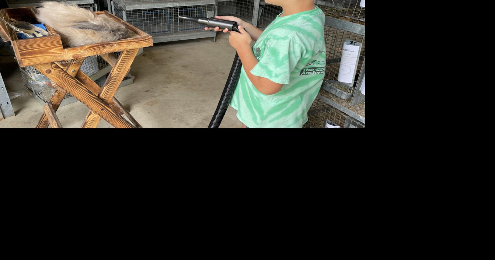 THEY’RE SO FLUFFY! | News | thecouriertimes.com