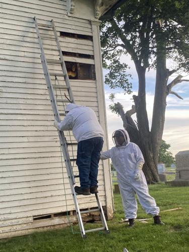 Save Batson Church Group encounters a Bee-autiful twist | News ...