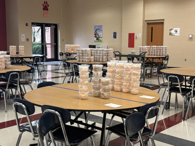 Local Tri Kappa chapter completes yearly fundraiser | News ...