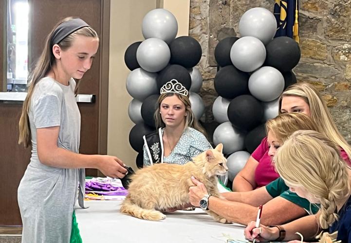 ‘Meowtastic’ 4-H cat and small animal show | News | thecouriertimes.com
