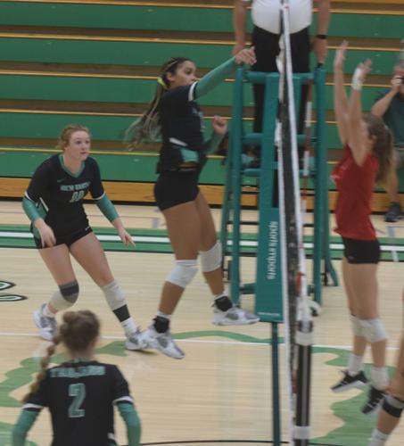 Volleyball Scenes as Season Winds Down | Sports | thecouriertimes.com