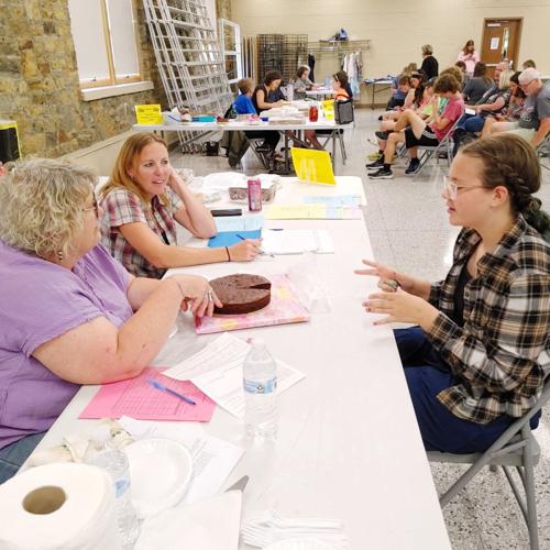 4-H SEWING AND FOODS JUDGING | News | thecouriertimes.com