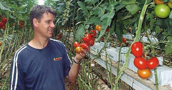 Intergrow trims expansion plans | News | thedailynewsonline.com