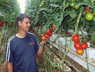 Intergrow trims expansion plans | News | thedailynewsonline.com