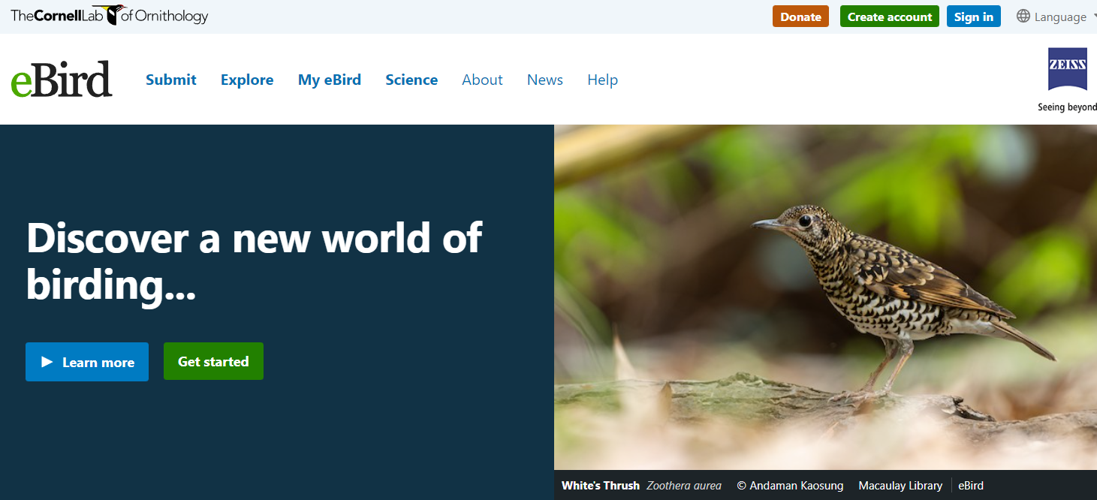 Feathered Friends; eBird has real-world application | Lifestyles ...