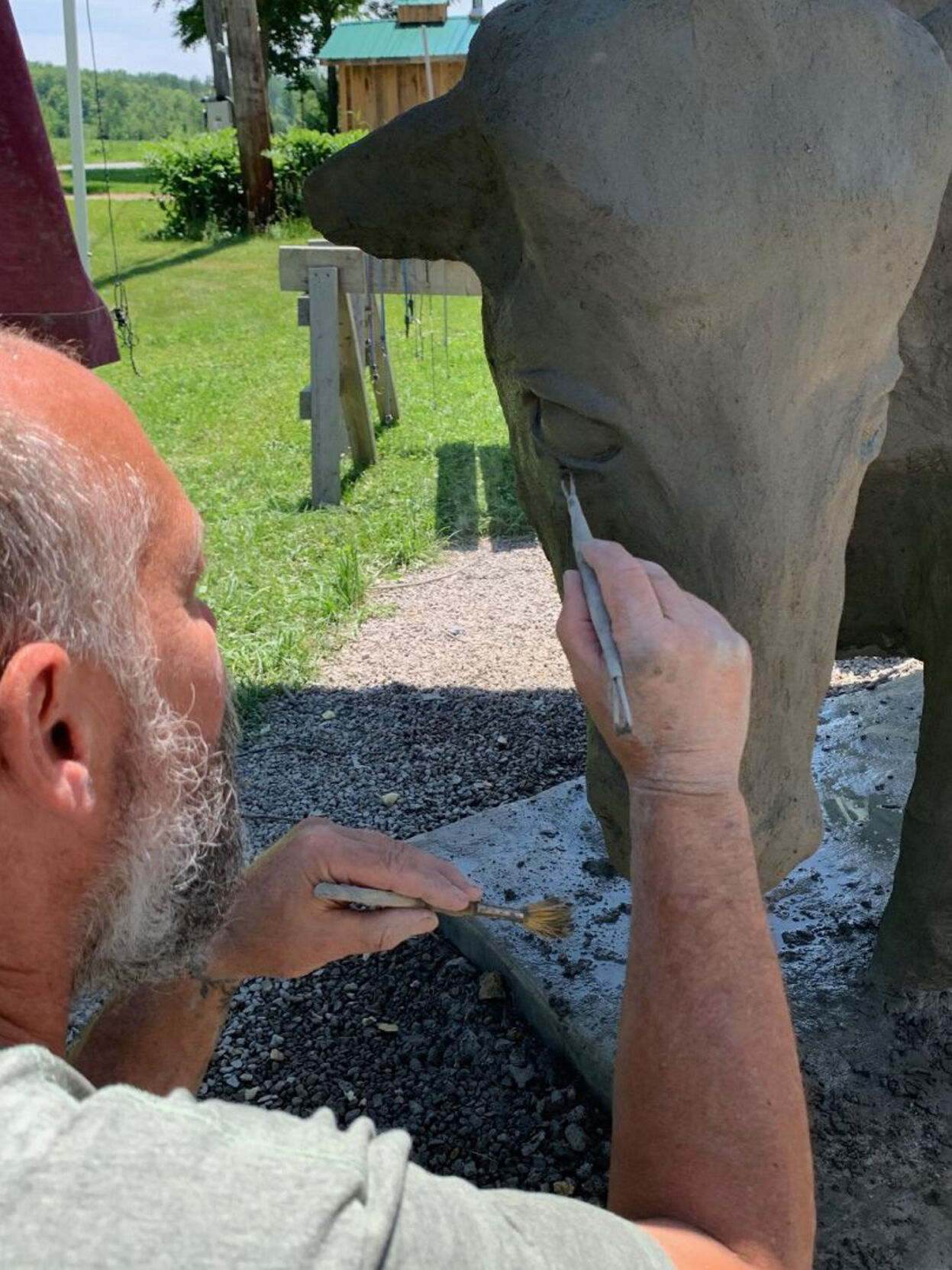 A cow and a chicken and maple syrup: That’s Wyoming County | Top Story ...