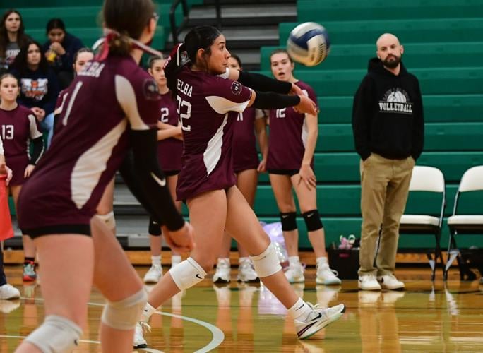 INSIDE H.S. SPORTS: Elba girls volleyball reveling in back to back ...