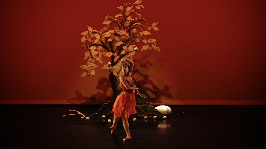 NYC ballet company bringing ‘The Firebird’ to Elba | Ballet ...
