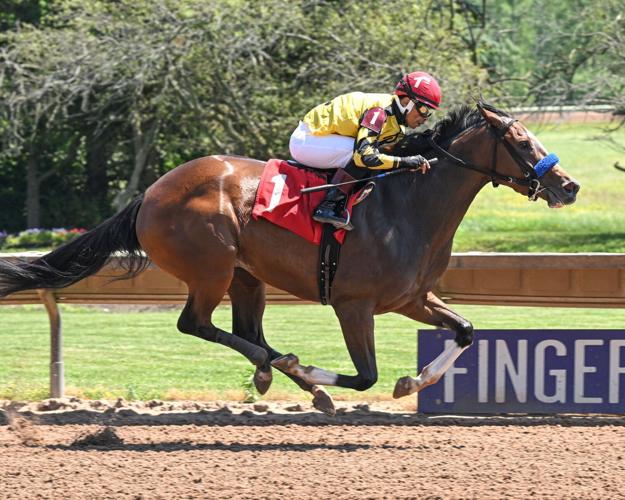 Convincing winners of 3-year-old stakes races | Sports ...