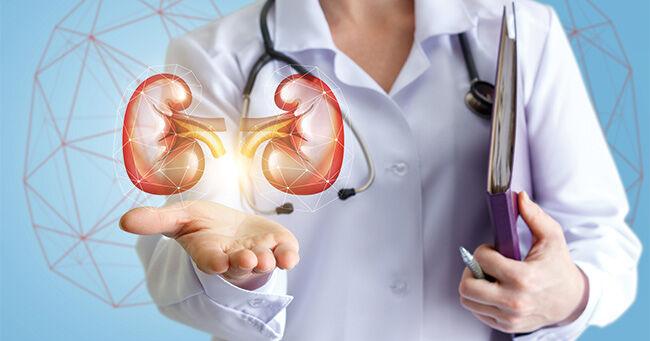 5 Rare Kidney Diseases You May Not Know About | Health & Wellness ...