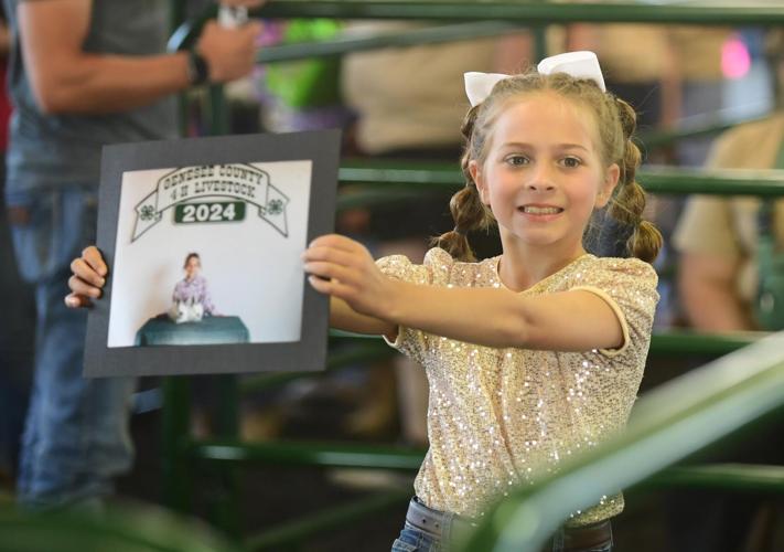 Show and sale: 4-H'ers present their animals at annual Genesee County ...