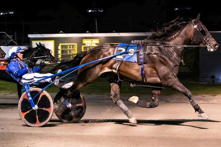 Batavia stars were Makes Me Charlie, Lyons Surfing and Jim Morrill Jr ...