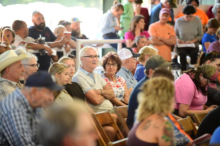 Show and sale: 4-H'ers present their animals at annual Genesee County ...